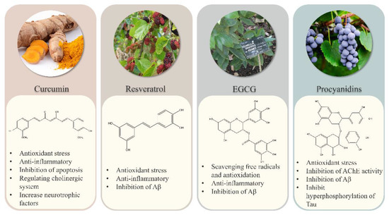 Recent Progress in Research on Mechanisms of Action of Natural Products ...