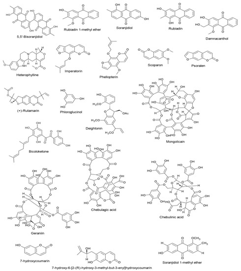 Insights into Antiviral Properties and Molecular Mechanisms of Non-Flavonoid Polyphenols against ...