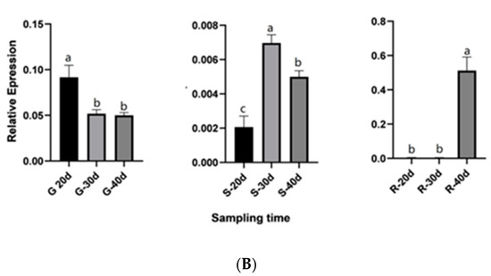 Novel Insights into Anthocyanin Synthesis in the Calyx of Roselle Using ...