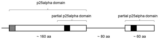 On the TPPP Protein of the Enigmatic Fungus, Olpidium—Correlation ...