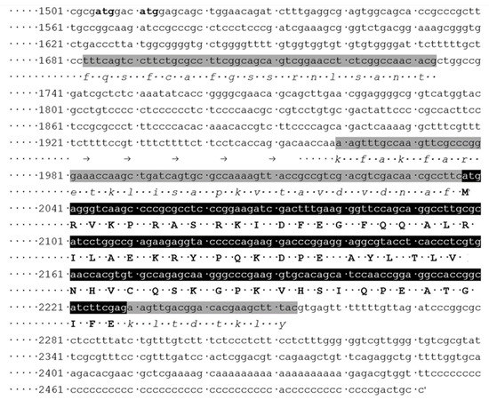 On the TPPP Protein of the Enigmatic Fungus, Olpidium—Correlation ...