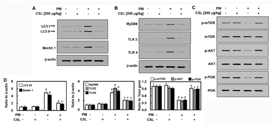 Cirsilineol Treatment Attenuates PM2.5-Induced Lung Injury in Mice
