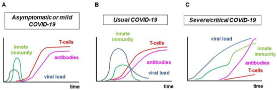 Adaptive Immunity to Viruses: What Did We Learn from SARS-CoV-2 Infection?