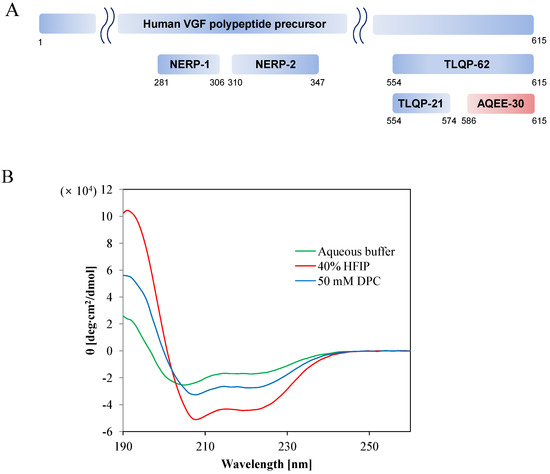 Structure of AQEE-30 of VGF Neuropeptide in Membrane-Mimicking Environments