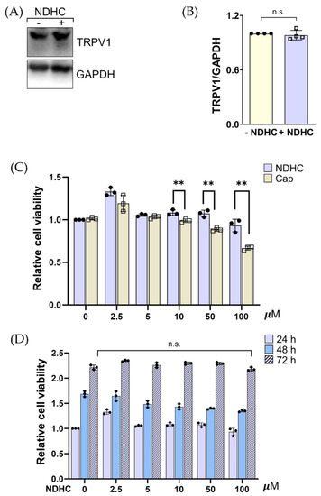Nitro Dihydrocapsaicin, a Non-Pungent Capsaicin Analogue, Inhibits ...
