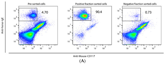 Equine Mast Cells