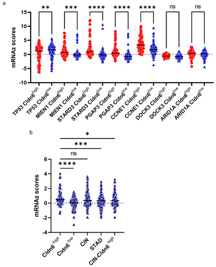 Chromosomally Unstable Gastric Cancers Overexpressing Claudin-6 ...