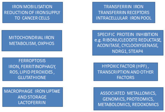 New Iron Metabolic Pathways and Chelation Targeting Strategies ...
