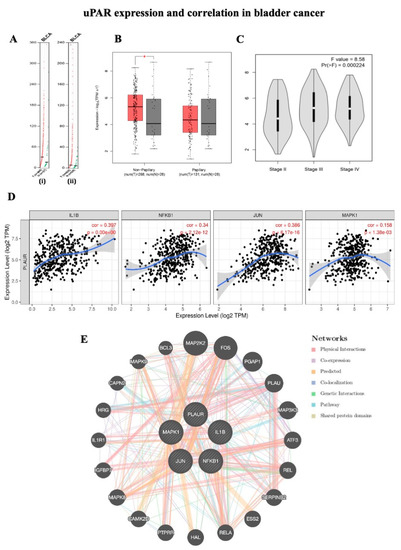 Epigallocatechin-3-Gallate Prevents IL-1β-Induced uPAR Expression and ...