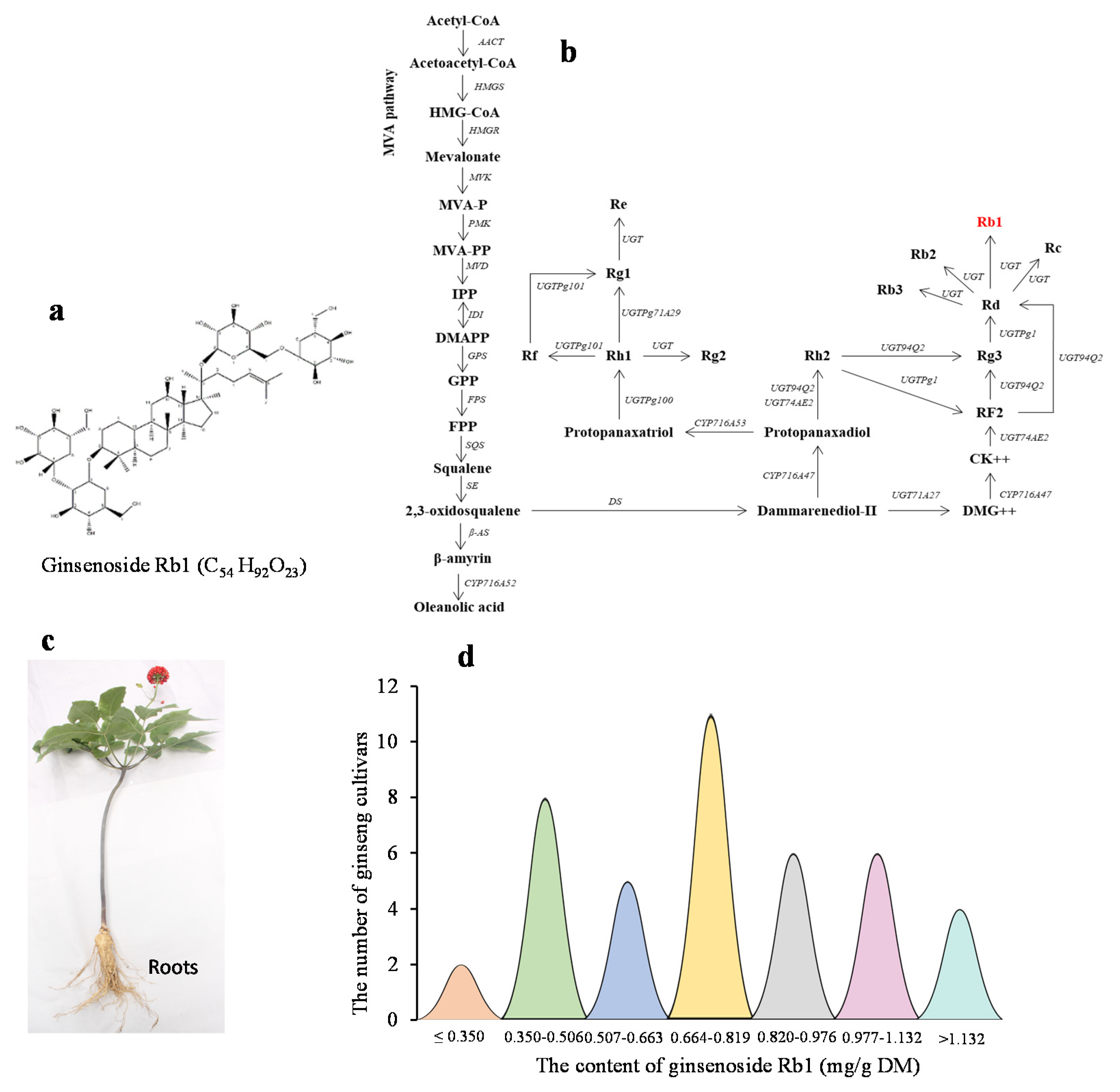 Transcriptome and Phenotype Integrated Analysis Identifies Genes Controlling Ginsenoside Rb1 ...