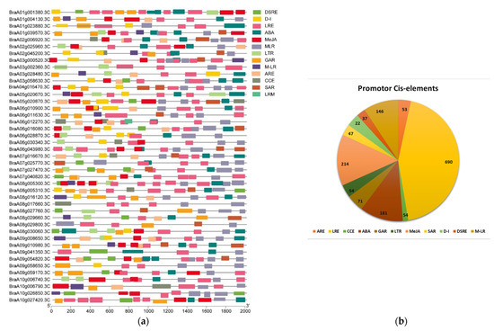 Genome-Wide Identification, Characterization, and Transcriptomic ...