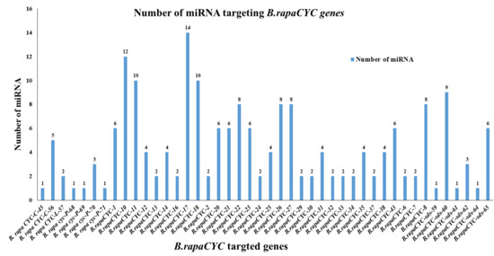 Genome-Wide Identification, Characterization, and Transcriptomic ...