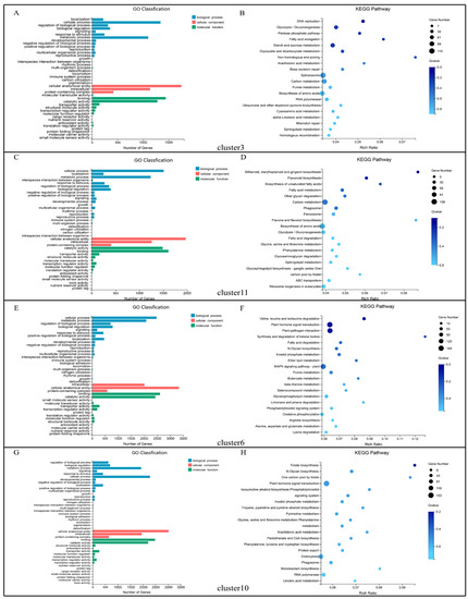 IJMS | Free Full-Text | Identification of Differentially Expressed ...