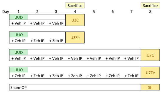 The Protective Effect of Zebularine, an Inhibitor of DNA ...