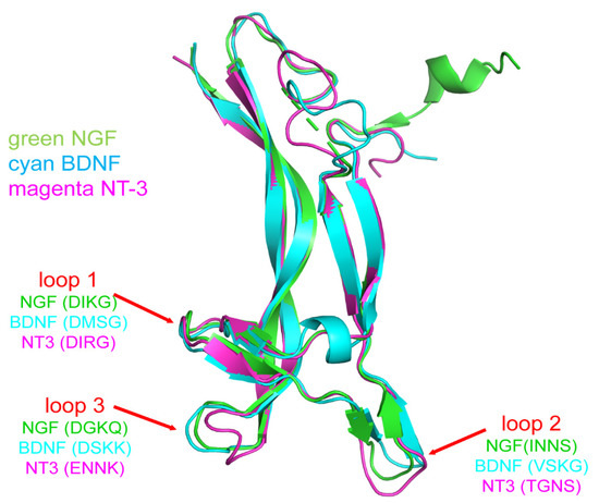 IJMS | Free Full-Text | A, B, C’s of Trk Receptors and Their Ligands in ...