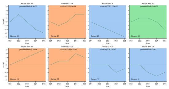 Exploring the Molecular Mechanism of Sepal Formation in the Decorative ...