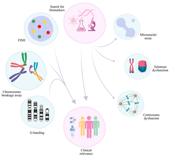 Cytogenetics in Fanconi Anemia: The Importance of Follow-Up and the ...