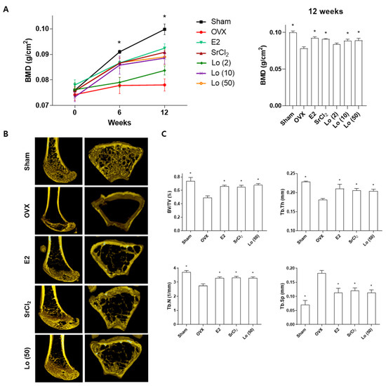 Effects of Loganin on Bone Formation and Resorption In Vitro and In Vivo