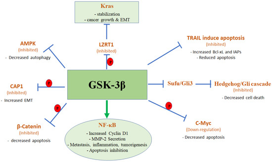 IJMS | Free Full-Text | Glycogen Synthase Kinase 3β: A True Foe in Pancreatic Cancer