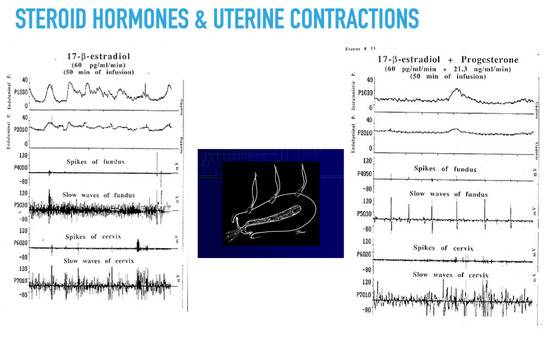 Progesterone: The Key Factor of the Beginning of Life