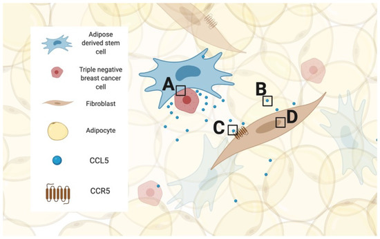IJMS | Free Full-Text | Naming the Barriers between Anti-CCR5 Therapy ...
