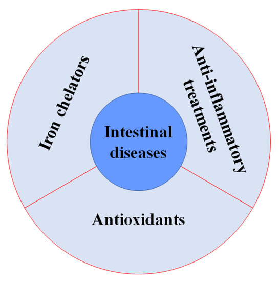 The Impacts of Iron Overload and Ferroptosis on Intestinal Mucosal ...