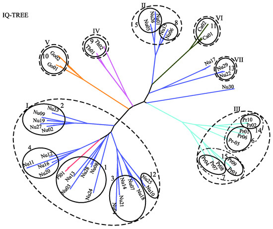 MSClustering: A Cytoscape Tool for Multi-Level Clustering of Biological ...