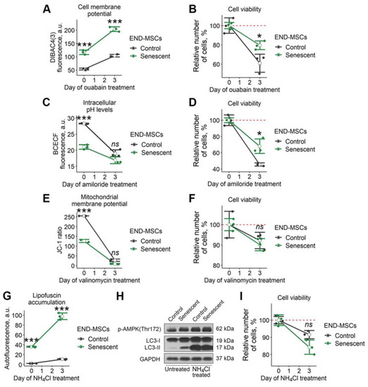 Targeting Multiple Homeostasis-Maintaining Systems by Ionophore ...