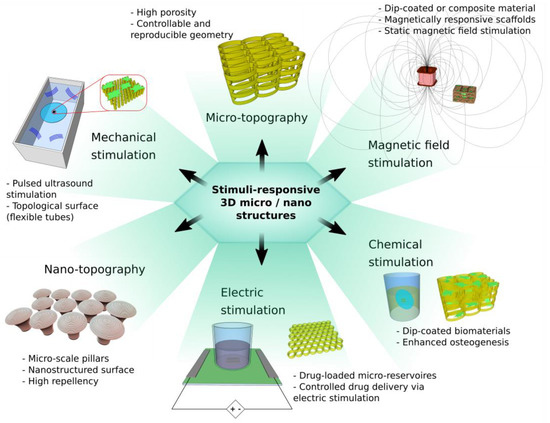 A Review on Stimuli-Actuated 3D Micro/Nanostructures for Tissue ...