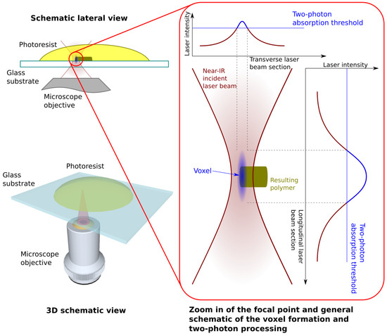 IJMS | Free Full-Text | A Review on Stimuli-Actuated 3D Micro ...