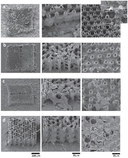 A Review on Stimuli-Actuated 3D Micro/Nanostructures for Tissue ...