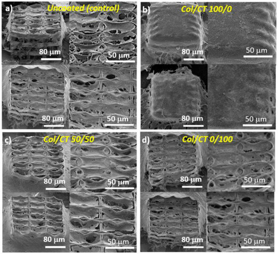A Review on Stimuli-Actuated 3D Micro/Nanostructures for Tissue ...