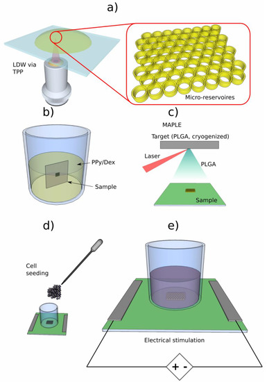 A Review on Stimuli-Actuated 3D Micro/Nanostructures for Tissue ...