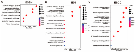 Esophageal Squamous Cancer from 4NQO-Induced Mice Model: CNV Alterations