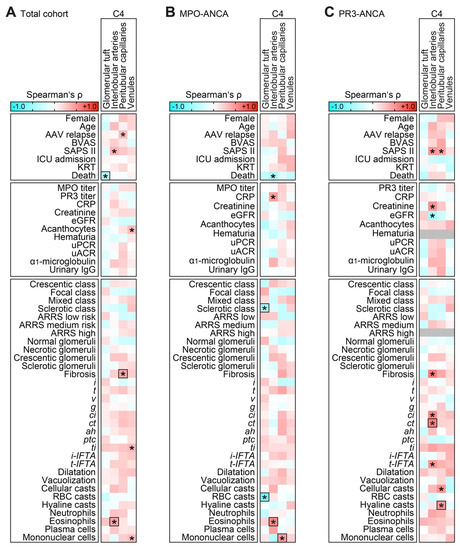 Relevance of Complement C4 Deposits Localized to Distinct Vascular ...
