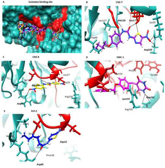 Giardia lamblia G6PD::6PGL Fused Protein Inhibitors Decrease ...