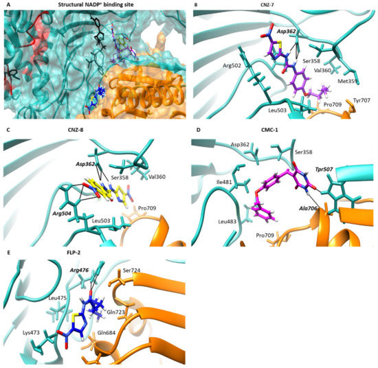 Giardia lamblia G6PD::6PGL Fused Protein Inhibitors Decrease ...