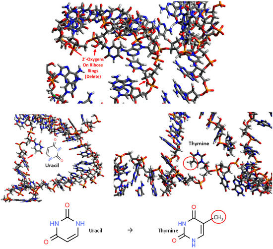 Successes and Failures of Static Aptamer-Target 3D Docking Models