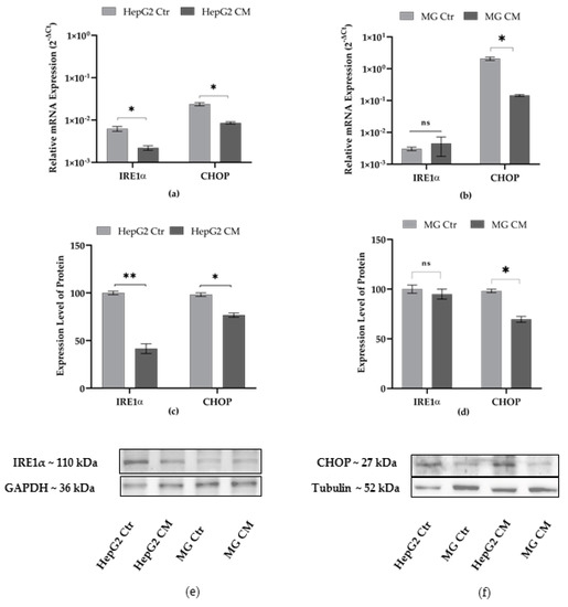 The Crosstalk between HepG2 and HMC-III Cells: In Vitro Modulation of ...