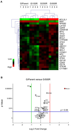 Bcl-2 Family Members Bcl-xL and Bax Cooperatively Contribute to ...