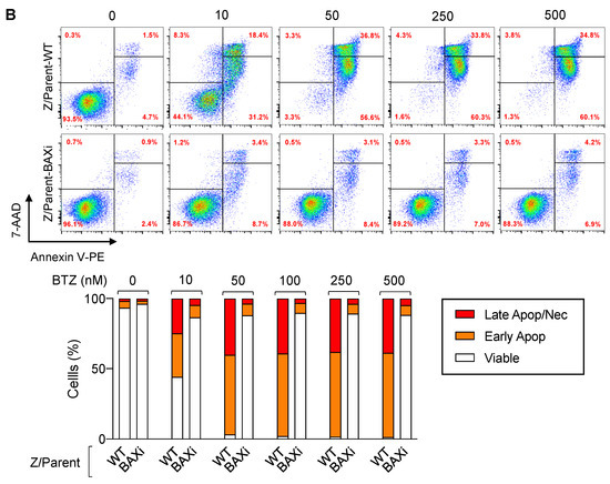 Bcl-2 Family Members Bcl-xL and Bax Cooperatively Contribute to ...
