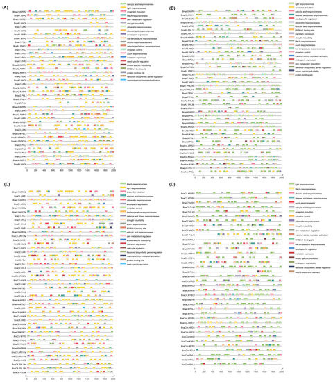 Genome-Scale Investigation of GARP Family Genes Reveals Their Pivotal ...