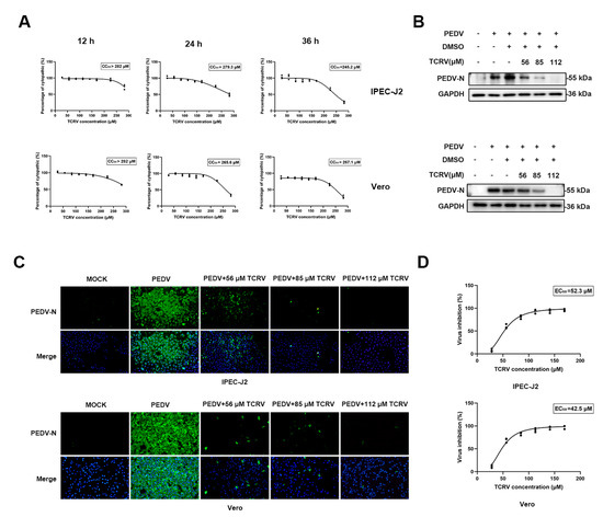 Triacetyl Resveratrol Inhibits PEDV by Inducing the Early Apoptosis In ...