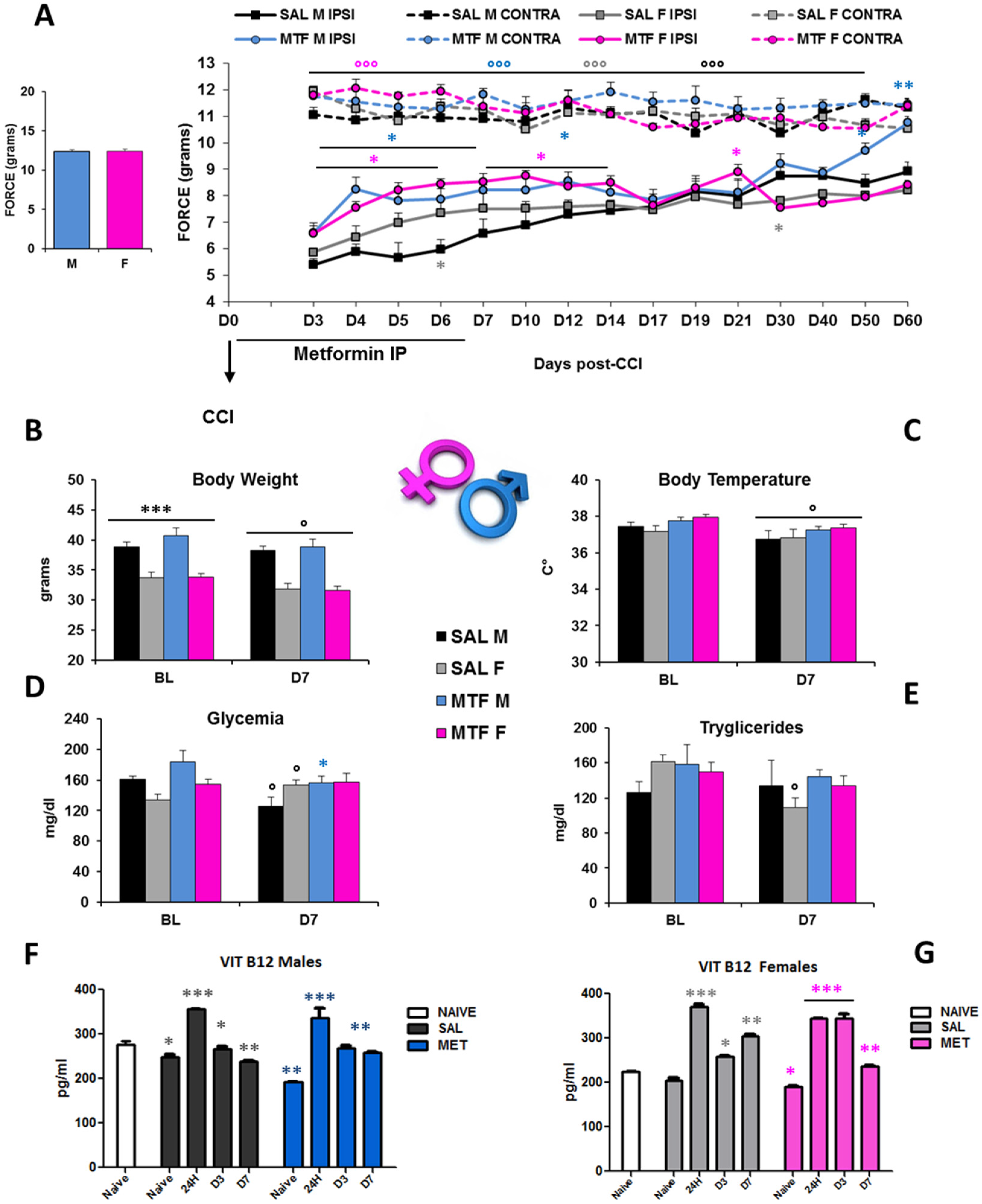 Ijms Free Full Text Sex Differences In Neuropathy The Paradigmatic
