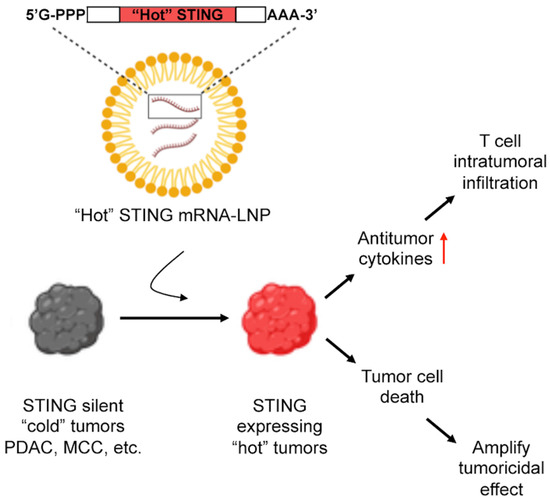 Lipid Nanoparticles Delivering Constitutively Active STING mRNA to ...