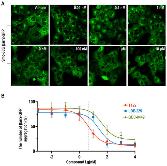 A Potent Antagonist of Smoothened in Hedgehog Signaling for Epilepsy