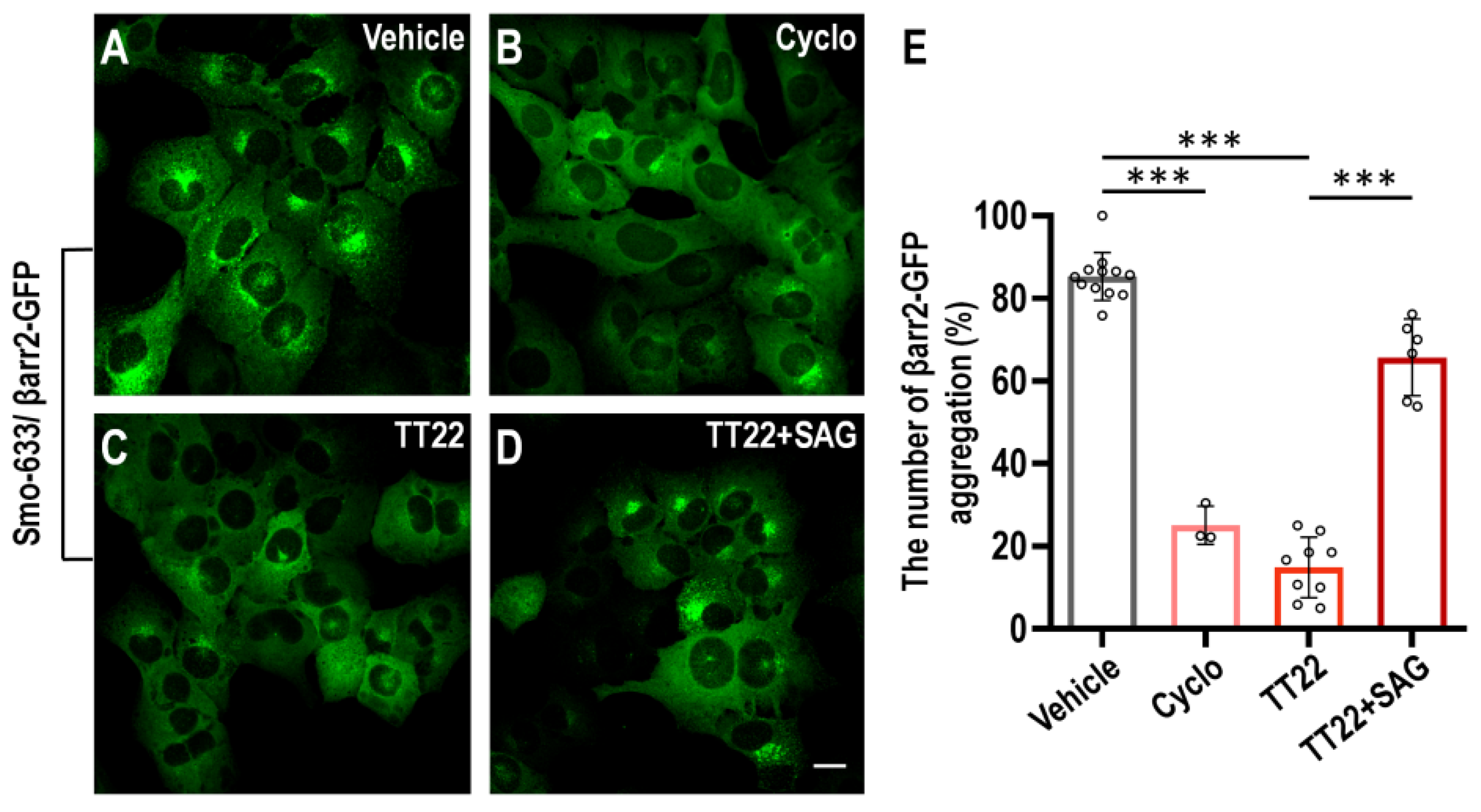 A Potent Antagonist of Smoothened in Hedgehog Signaling for Epilepsy