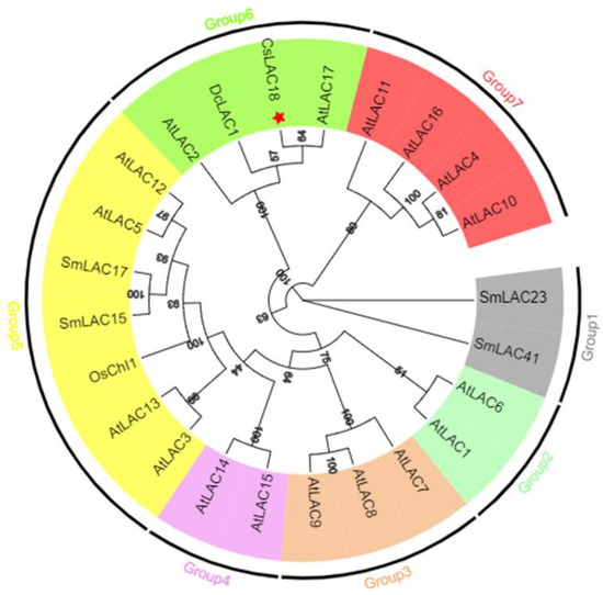 The Citrus Laccase Gene CsLAC18 Contributes to Cold Tolerance