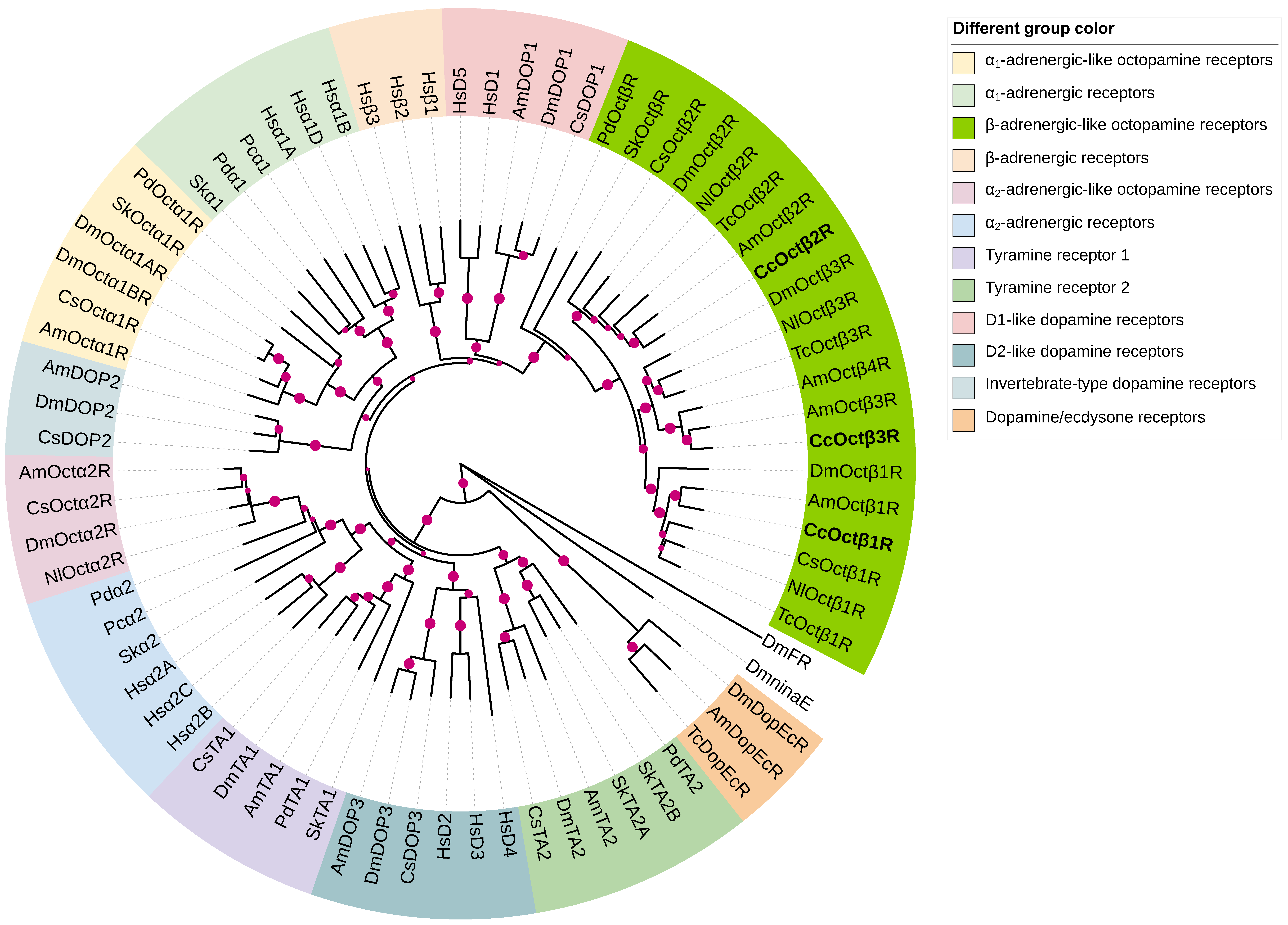 Molecular and Pharmacological Characterization of β-Adrenergic-like ...