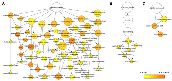 Transcriptome Analysis Reveals Immunomodulatory Effect of Spore ...